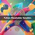 Learn Python With Dev Code Placeholder Variable In Python Examples And Best Practices