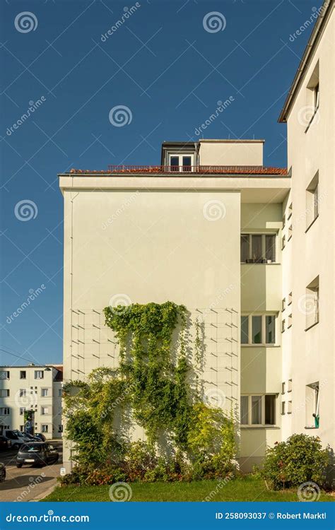 Verdear Fachada En Edificios Residenciales Con Plantas De Escalada En