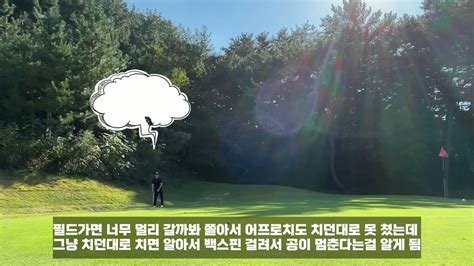 어프로치 쫄지 말고 그냥 치면 알아서 백스핀 걸림 골린이 백돌이 Golf 골프 골프스윙 골프연습 골프는재밌어 Youtube