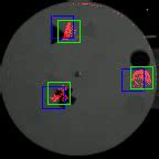 GitHub IbrahimYang Hybrid Neural Networks