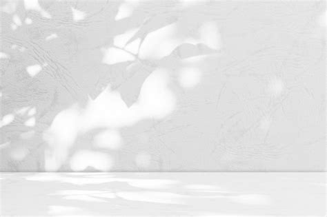 배경 그림자 스튜디오 룸밝은 흰색 회색 오버레이 잎 로프트 테이블 제품 배경추상 연단 최소한의 우아한 시멘트 벽 바닥흐림 식물