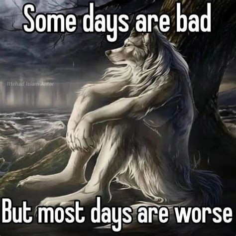 Latest Memes New Memes Memedroid