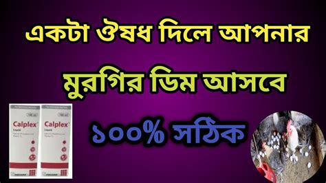 একটা ঔষধে আপনার মুরগির ডিমে আসবে ১০০ সঠিক Youtube