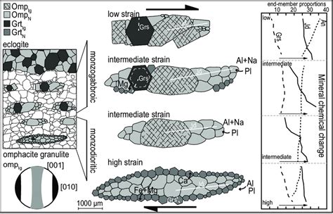 Schematic Of The Microstructural And Chemical Distinctions