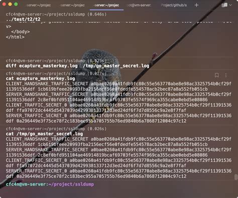 Ecapture旁观者支持golang Tls加密明文捕获 Cfc4n的博客