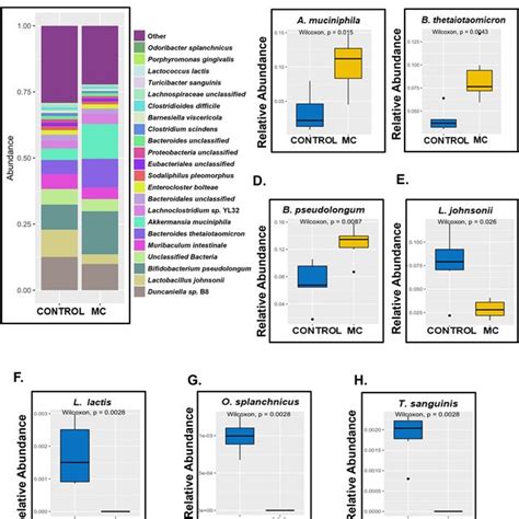 Relative Abundance At The Phylum Level A Bar Plot Showing Relative