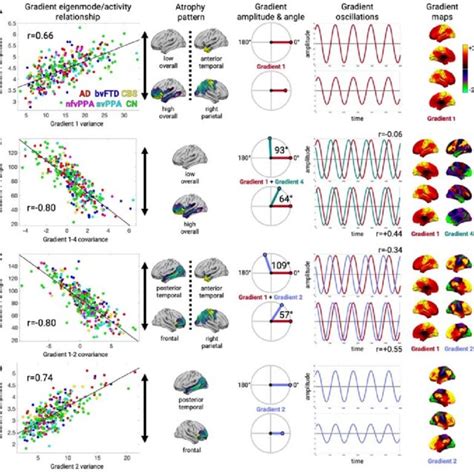 Gradient Eigenmode Relationships With Different Structure Function