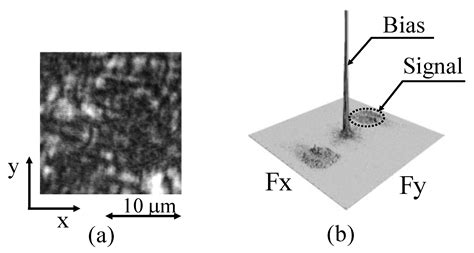 Possibility Of Biological Observations Using The Speckle Interferometry