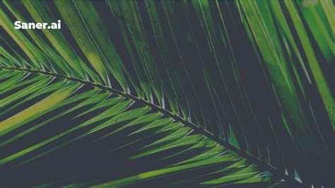 24 Best Note Taking Apps [2025]