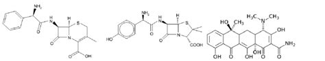 Chemical Structure Of Cephalexin Amoxicillin And Oxytetracycline Download Scientific Diagram