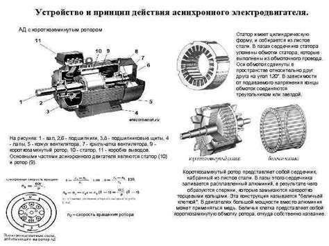 Асинхронный электродвигатель с короткозамкнутым и фазным ротором ...