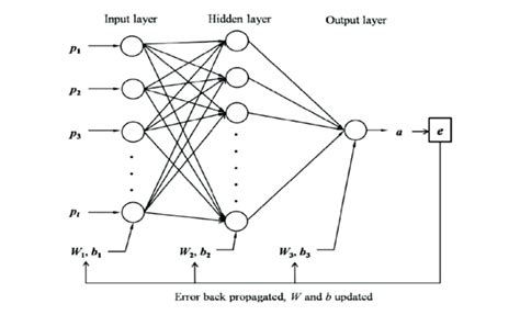 A Typical Structure Of Bpnn Architecture 17 Download Scientific Diagram