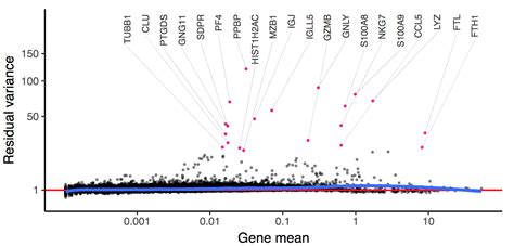 Analysis Visualization And Integration Of Visium Hd Spatial Datasets With Seurat • Seurat