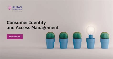 Aujas Cybersecurity On Linkedin Ciam Solution Brief Final Pdf
