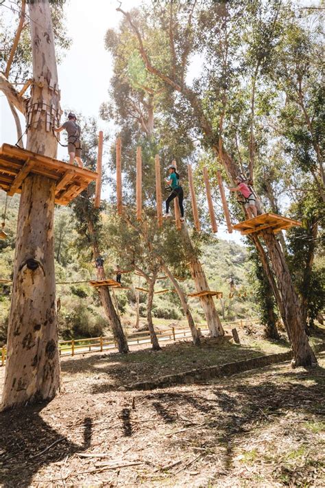 Catalina Aerial Adventure Ropes Course Catalina Island Hotels Aerial