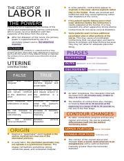 Understanding Labor Uterine Contractions Powers And Course Hero