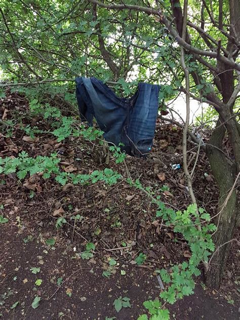 Shocking Pics Show Sex Workers Home In The Woods Next To Leeds Primary Babe The Sun The Sun