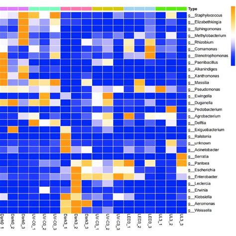 Heat Map Illustrating The Relative Abundance Of Different Bacterial