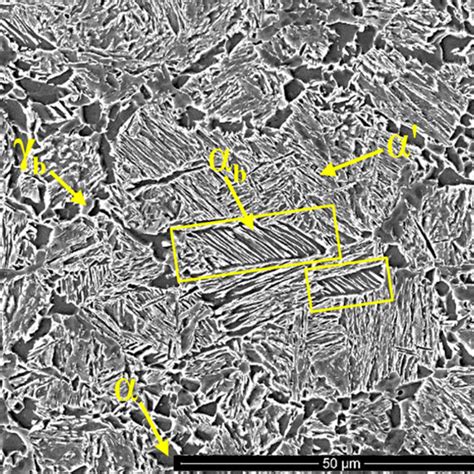 Microstructure Sem Of Trip Steel Samples After The Combined Hot Download Scientific Diagram