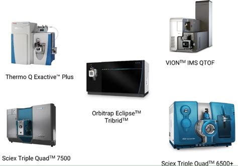 How Lc Ms Enhances Oligonucleotide Quantification Key Insights