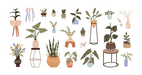 화분에 심은 잎 식물 꽃병에 든 꽃 녹색 실내 화초 세트 화분 바구니 화분에서 자라는 집의 단풍 자연 장식 흰색 배경에 고립 된 평면 벡터 일러스트 프리미엄 벡터