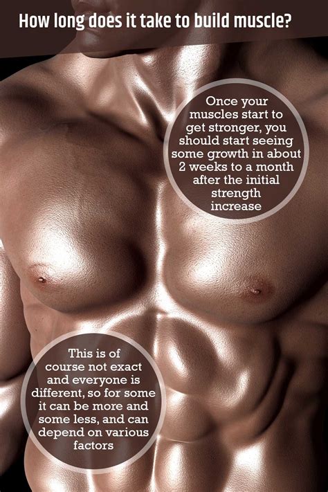 How Long Does It Take To Build Muscle