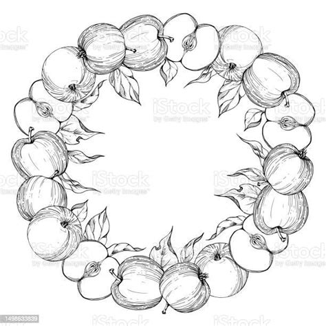 손으로 그린 잉크 사과 익은 과일 전체 조각과 나뭇잎 흑백 벡터 자세한 개요 둥근 원형 화환은 흰색 배경에 격리되어 있습니다 벽 예술 결혼식 인쇄물 카드 초대장을 위한