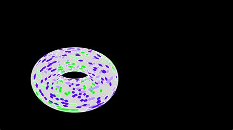 C Fully Transparent Torus In OpenGL Stack Overflow