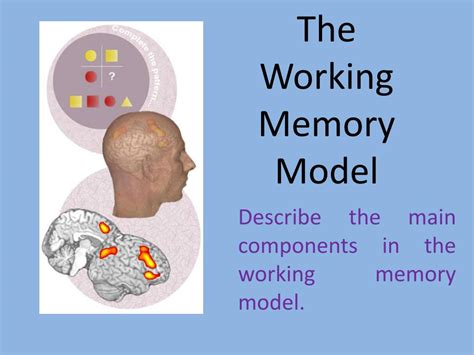 ppt the working memory model powerpoint presentation free download