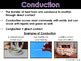 Heat Transfer PowerPoint And Notes By The Science Duo TPT