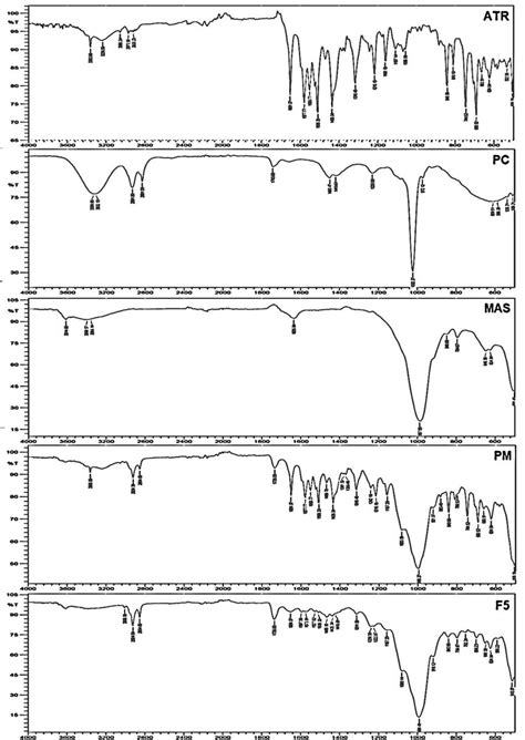 Ftir Spectrum Of Pure Atr Atorvastatin Pc Phosphatidylcholine Mas Download Scientific