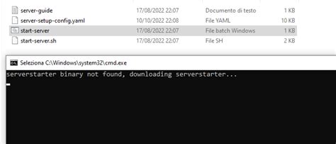 Unable To Install A Server Whenever I Execute Start Server It Gives