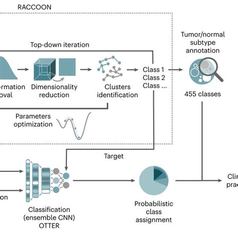 A Platform For Clustering And Classification Of Rna Seq Data A