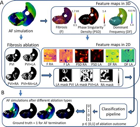 Combining Biophysical Simulations And Machine Learning Personalised