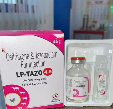 Veteniary Ciprofloxacin Injection Manufacture At ₹ 10 Piece Ciprofloxacin Injection In Sirmaur