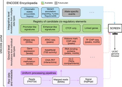 Overview Of The Encode Encyclopedia With A Registry Of Candidate