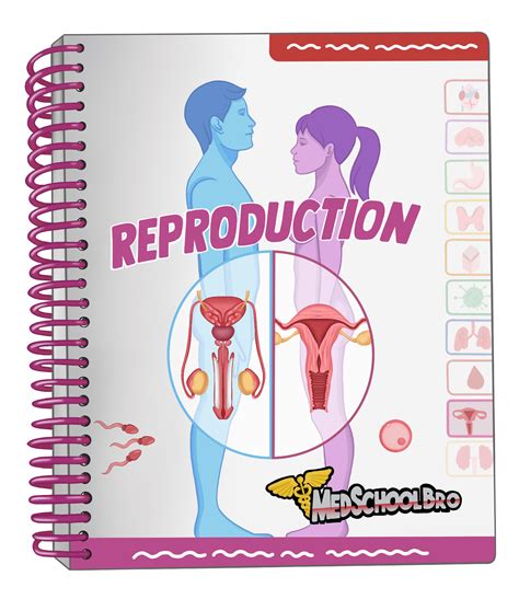 When Do You Take The Mcat And How To Know If Youre Ready Medscho Medschoolbro