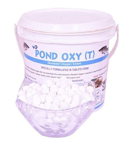 Silver Oxygen Tablets At Best Price In West Godavari Dist Andhra Pradesh Mahalakshmi Aqua