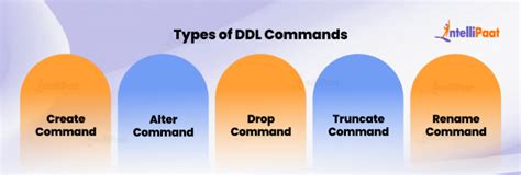 what are ddl and dml commands in structured query language