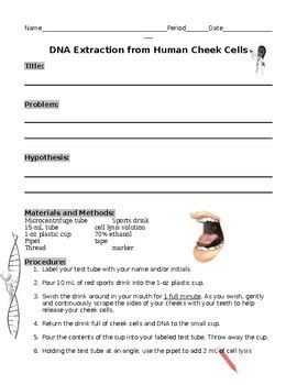 Dna Extraction Lab Report By 21st Century Science Tpt