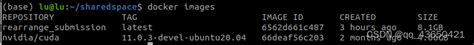 Nvidia Docker的基础使用方法 Csdn博客