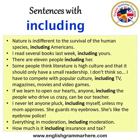 Sentences With Magnificent Magnificent In A Sentence In English