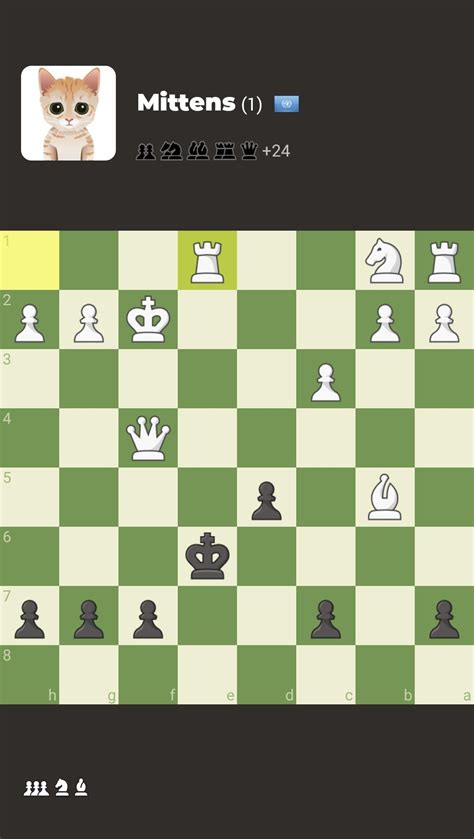 Mittens Just Beated Me Ama R Anarchychess