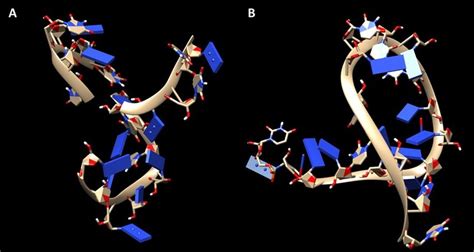 Ifoldrna Prediction Result Of A Mrna Of The Target Conserved Structure Download Scientific