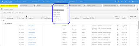 7171 Add Project Manager Parameter To Action Item Grid