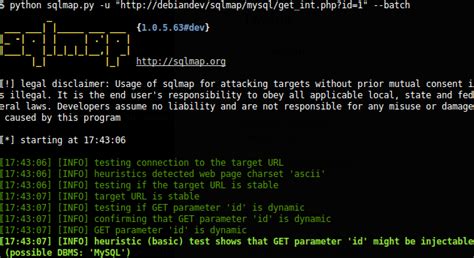 ¿cómo Encontrar Vulnerabilidades De Ataques De Inyección Sql