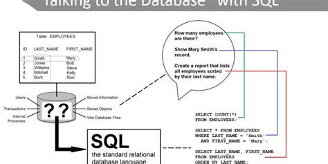 sql dev community