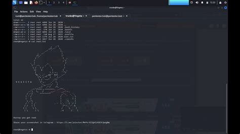 Vegata Ctf Penetration Testing Cyber Security Guide Youtube