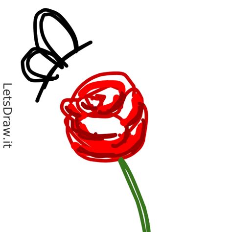 How To Draw Rose Fxoxfqa Png LetsDrawIt