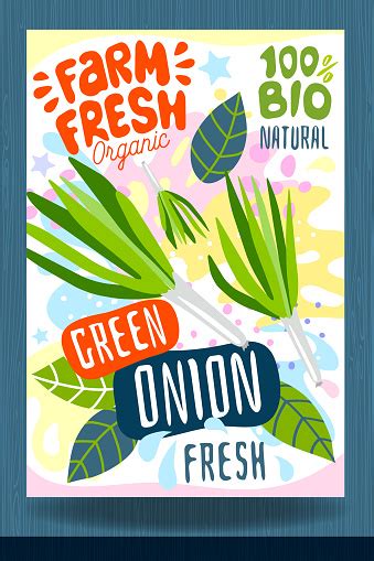 추상 스플래시 식품 라벨 템플릿입니다 다채로운 브러시 스트로크 야채 과일 향신료 패키지 디자인 파 슬라이스 익은 유기농 신선함 감자 칩에 대한 스톡 벡터 아트 및 기타